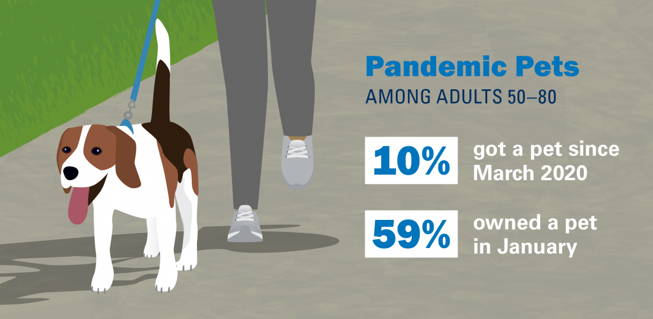 One in 10 older adults have gotten a “pandemic pet,” poll finds One in 10 older adults have gotten a “pandemic pet,” poll finds